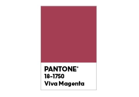 La Couleur De L Ann E Par Pantone Viva Magenta Dkomag