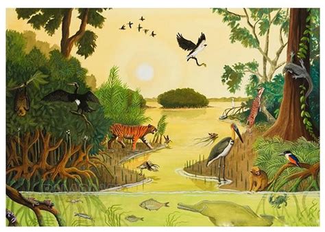 Hệ sinh thái là gì Các hệ sinh thái hiện nay Thiết bị vệ sinh công