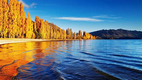 469015 Fall Forest Lake Wanaka Nature Sky Clouds Waves Trees