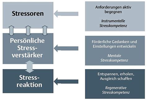 Extrem Kohlenhydrat Ausstellung vulnerabilität stress modell wittchen