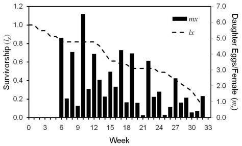 Insects Free Full Text Population Growth Potential Of The Bed Bug