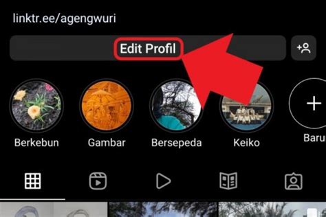 Cara Membuat Blog Pribadi Di Instagram Lewat Akun Profesional