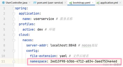 使用Nacos拉取配置时报错 Could not resolve placeholder pattern dateformat in