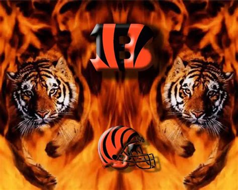 Bengals Wallpaper Discover More Aj Green Android Background Cool