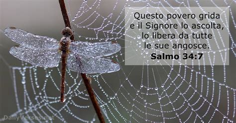 Salmo 34 7 Versetto Della Bibbia DailyVerses Net