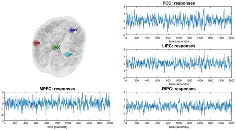 frontiers effective connectivity within the default mode network