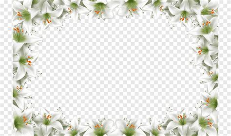 Moldura Floral Png Fundo Branco Baixe Agora Mesmo A Ilustra O Vetor Em
