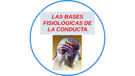 LAS BASES FISIOLÓGICAS DE LA CONDUCTA by on Prezi