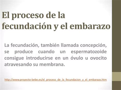 PPT El proceso de la fecundación y el embarazo PowerPoint