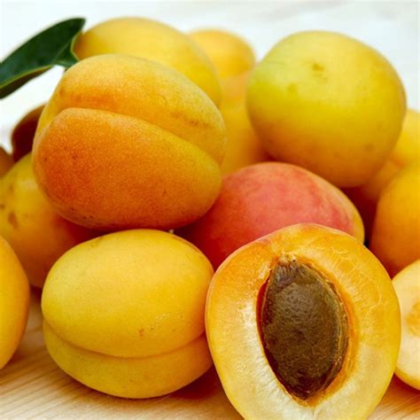 Frutas con Semillas por fuera por dentro ejemplos y más