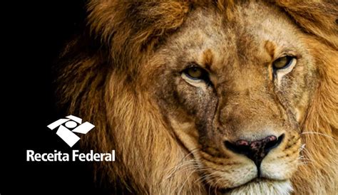 Receita Federal Libera O Programa Do Imposto De Renda