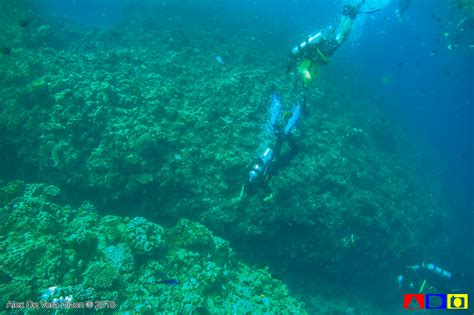 6th Anilao Underwater Shootout Continues To Promote Fun And Sustainable
