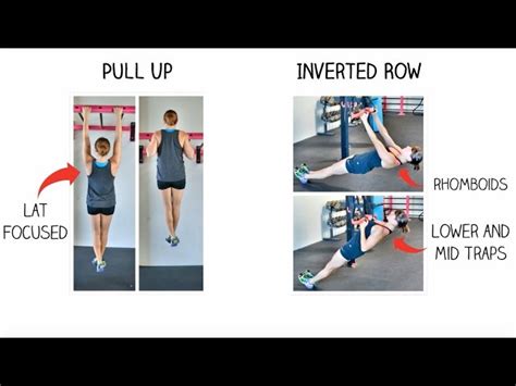 Dip Bar Inverted Rowtrx Row