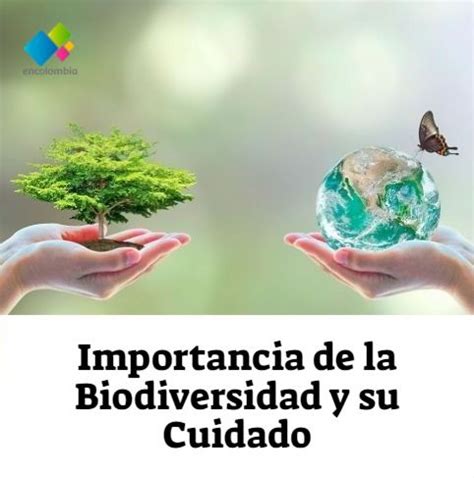Importancia De La Biodiversidad Y Su Cuidado Artofit
