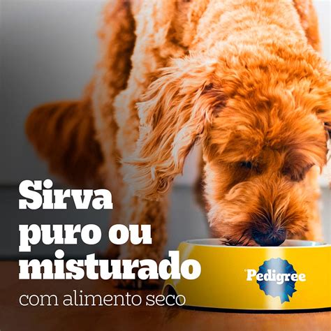 Ração Úmida Pedigree High Protein para Cães Adultos Sabor Po