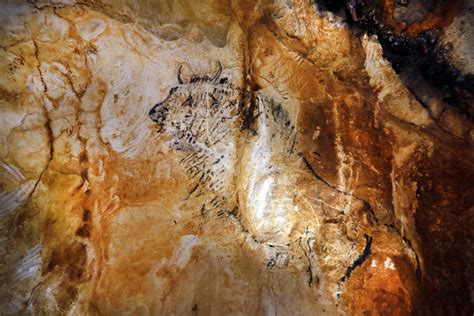 Cosquer la grotte préhistorique sous la mer Site officiel