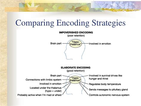 ppt memory powerpoint presentation free download id 334709