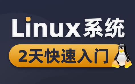 linux系统操作教程2天快速入门linux项目搭建 哔哩哔哩 bilibili
