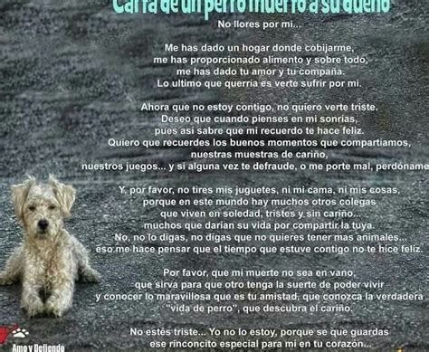 Cuando nuestro perro se va al cielo una reflexión sobre la pérdida y