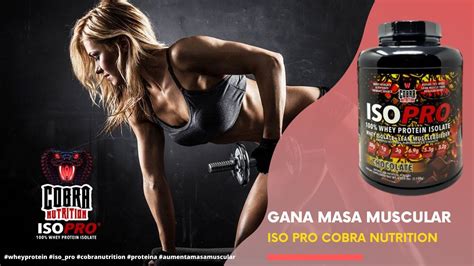 Proteina Para Ganar Masa Muscular Con Proteina Iso Pro Cobra Nutrition