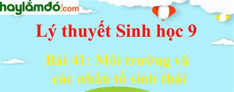 Lý thuyết Sinh học 9 Bài 41 Môi trường và các nhân tố sinh thái hay