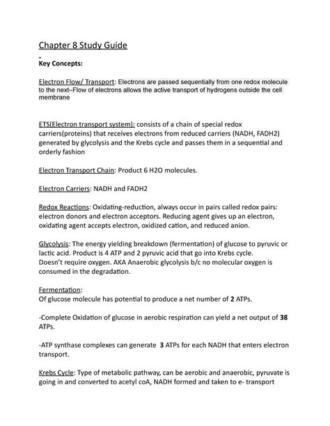Chapter 8 Study Guide For Human Physiology Chapter 8 Study Guide Key