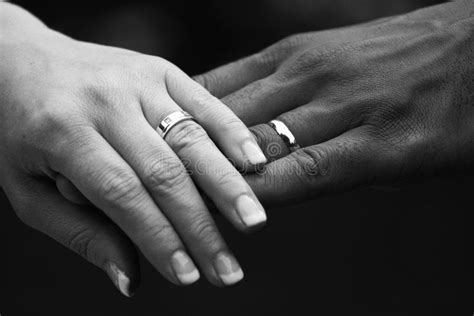 Wedding Rings Stock Image Image Of Guests Groom Black 10800407
