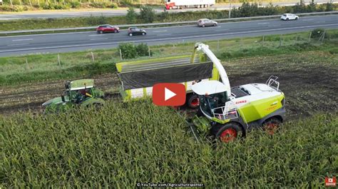 Maissilage Mais H Ckseln Mit Einem Claas Jaguar Vom
