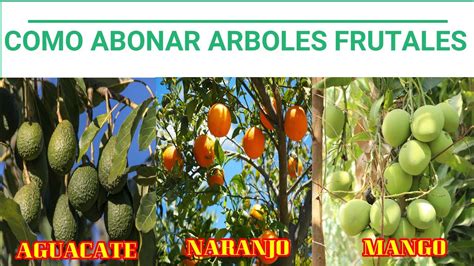Details Abono Natural Para Rboles Frutales Abzlocal Mx