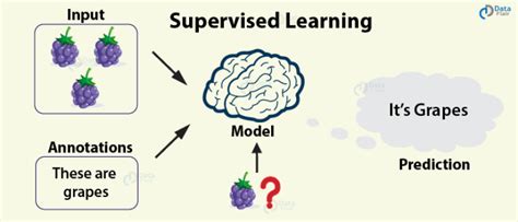self supervised learning and its applications