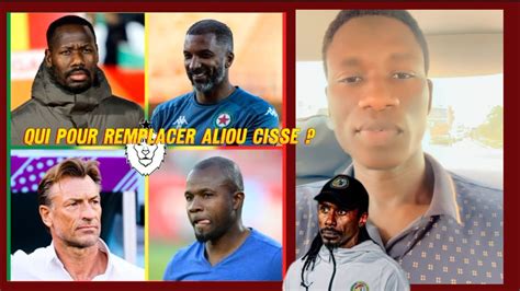 Qui Pour Remplacer Aliou Cisse Habib Beye Omar Daf Pape Thiaw Ou