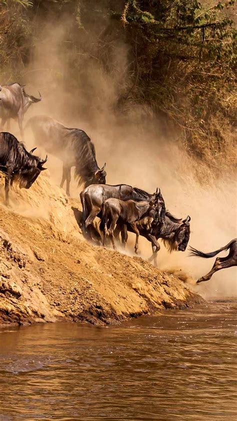 Bing HD Wallpaper Oct 05 2024 Uma Corrida Pela Vida Bing Wallpaper