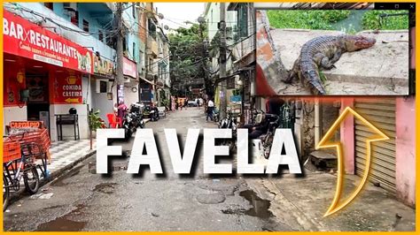 MOSTRANDO A FAVELA DO RIO TERREIRÃO RECREIO Dicas do Daniel YouTube