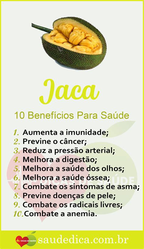 Jaca Dura Características Nome Cientifico Benefícios e Fotos Mundo