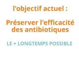 Résistance aux antibiotiques Inserm La science pour la santé
