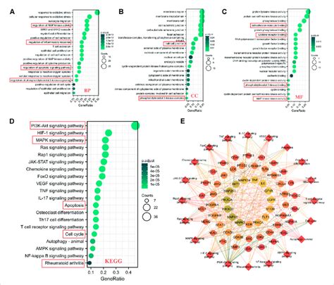 GO And KEGG Pathway Enrichment Analysis Of 79 Potential Key Targets Of