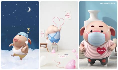 45 Hình nền heo mập cute dễ thương cho điện thoại