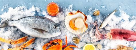 Mariscos Top 20 Tipos de Mariscos Delfín Ultracongelados
