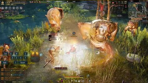 Black Desert 검은사막 Lahn 란 Gameplay Skill Point Farming YouTube