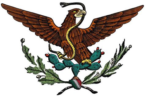 aguila mexicana ilustracion antigua Búsqueda de Google Obras de