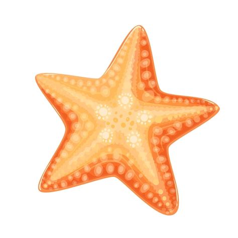 Ilustração em vetor estrela do mar ou estrela do mar Vetor Premium