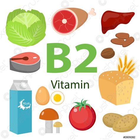 Vitaminas Y Minerales Alimentos Ilustrador Conjunto 7vector Conjunto De