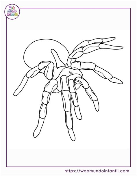 Dibujos De Ara As Para Colorear E Imprimir Gratis