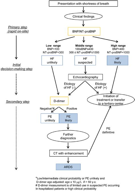 diagnostic algorithm for patients presenting to the emergency room with
