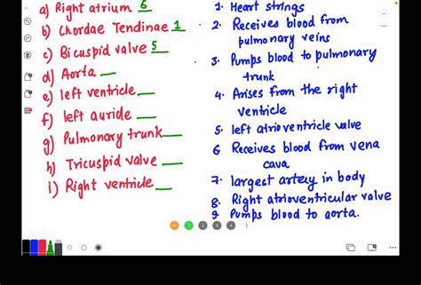 Solved Unit Anatomy Match Each Of The Following Structures With Its