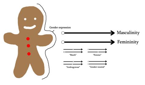 Interactive Genderbread Person