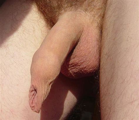 Dildo With Foreskin Mega Porn Pics