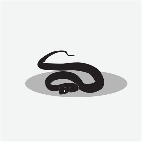 Snake Vector Png 29489816 Vector Art At Vecteezy
