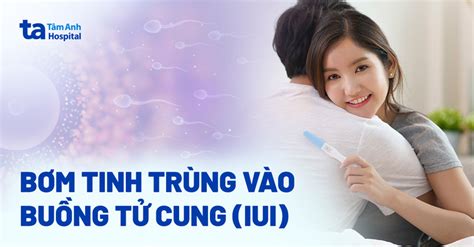 Bơm tinh trùng vào buồng tử cung là gì Quy trình thực hiện