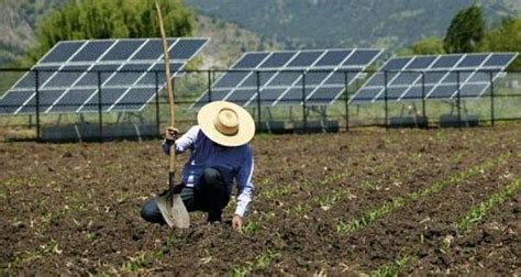 Brasil Pa S Que Mais Cresceu Em Energia Solar Em Gigante